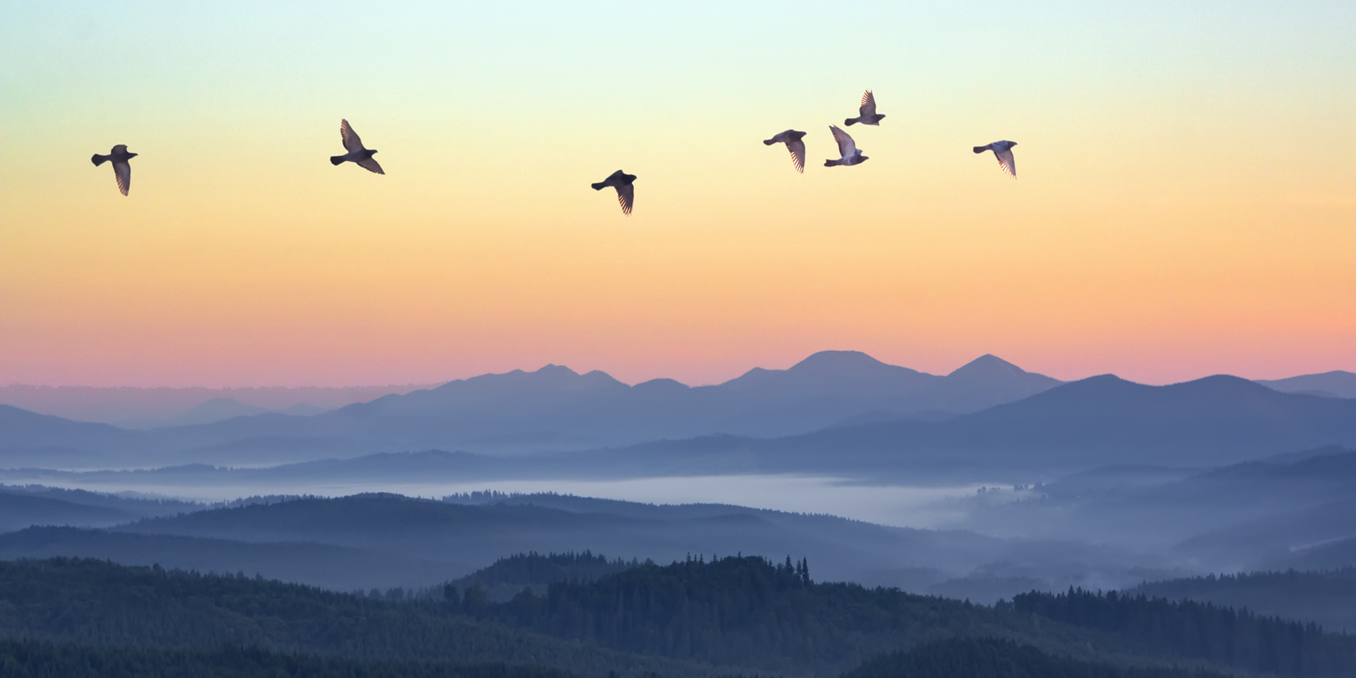 Repatriation Services: Everything you need to know - Funeral Partners